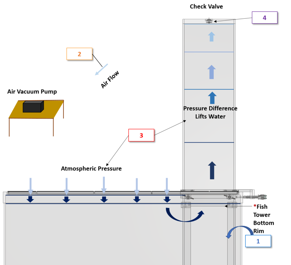 How the Fish Tower Works | New Path Design